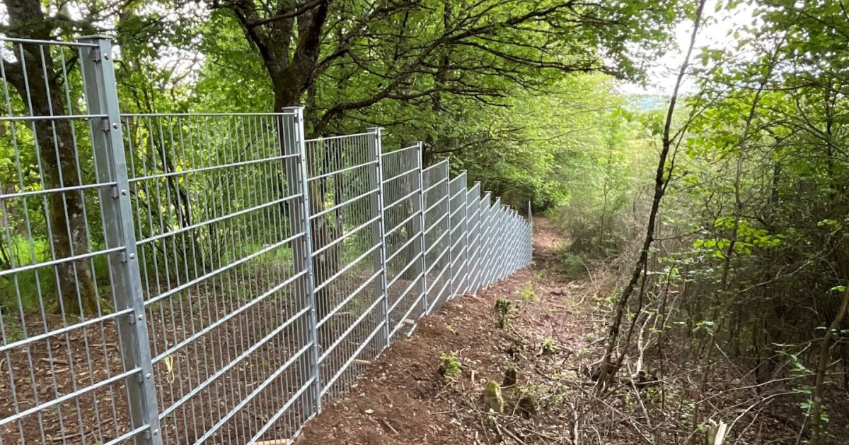 Neuer Zaun für den Friedhof Algenrodt fertiggestellt | Stadt Idar-Oberstein